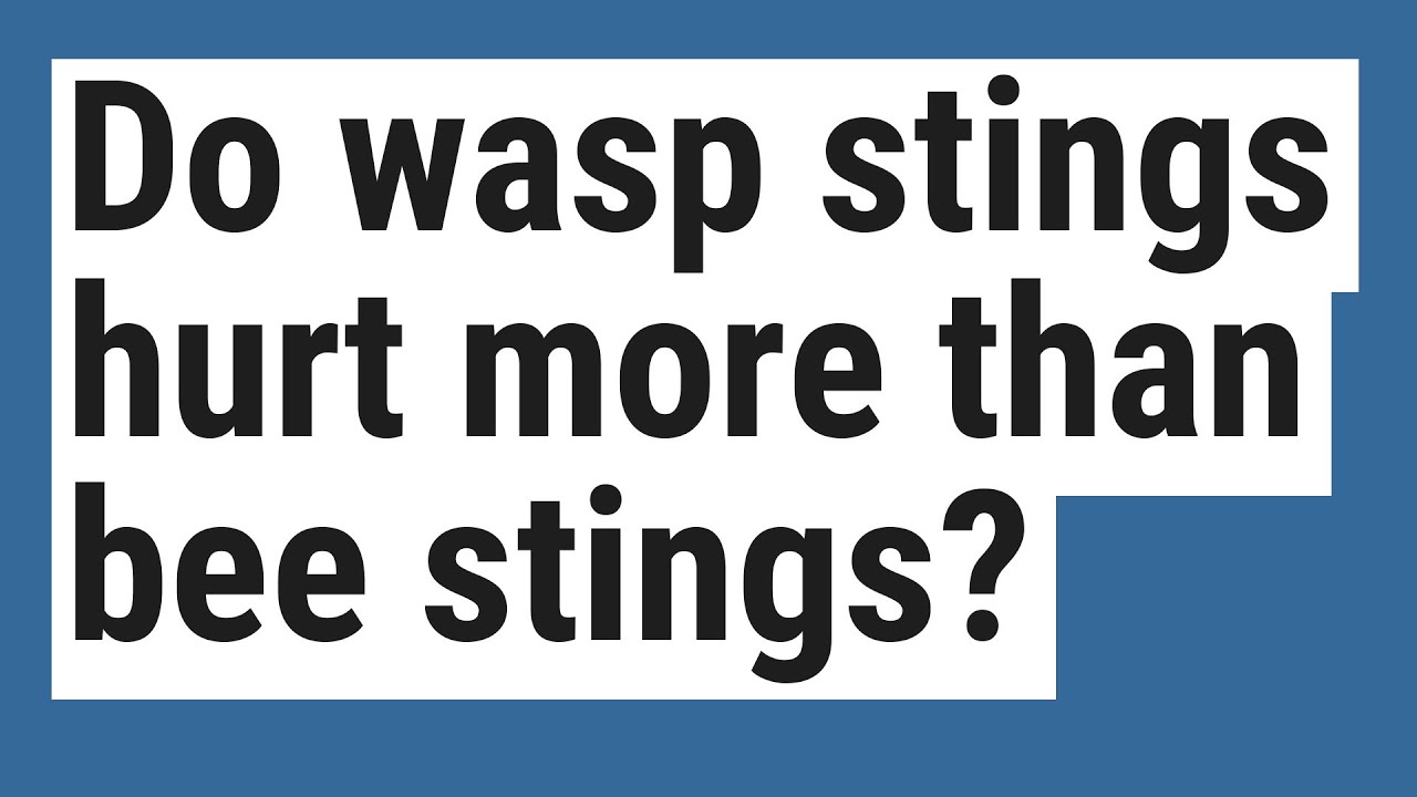 Do wasp stings hurt more than bee stings?