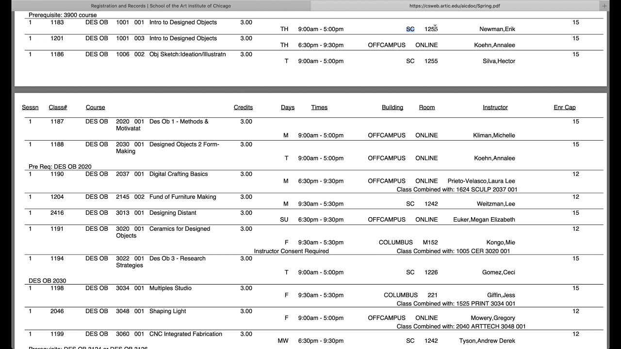 Download SAIC Course Catalog (pdf)