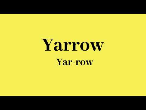 How to Pronounce Yarrow