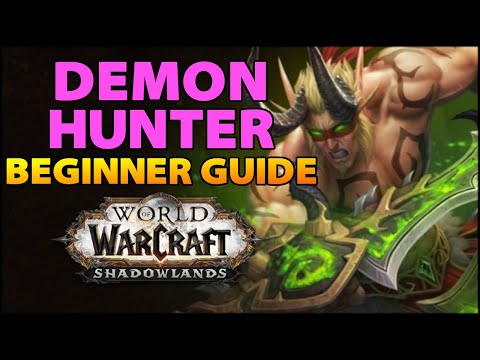 Demon Hunter Beginner Guide | Overview & Builds for ALL Specs (WoW Shadowlands)