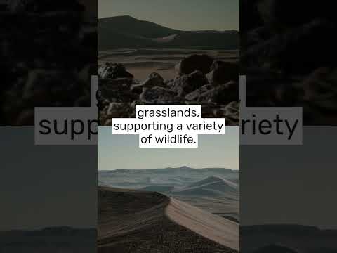 Sahara's Green Past - A Desert Tale
