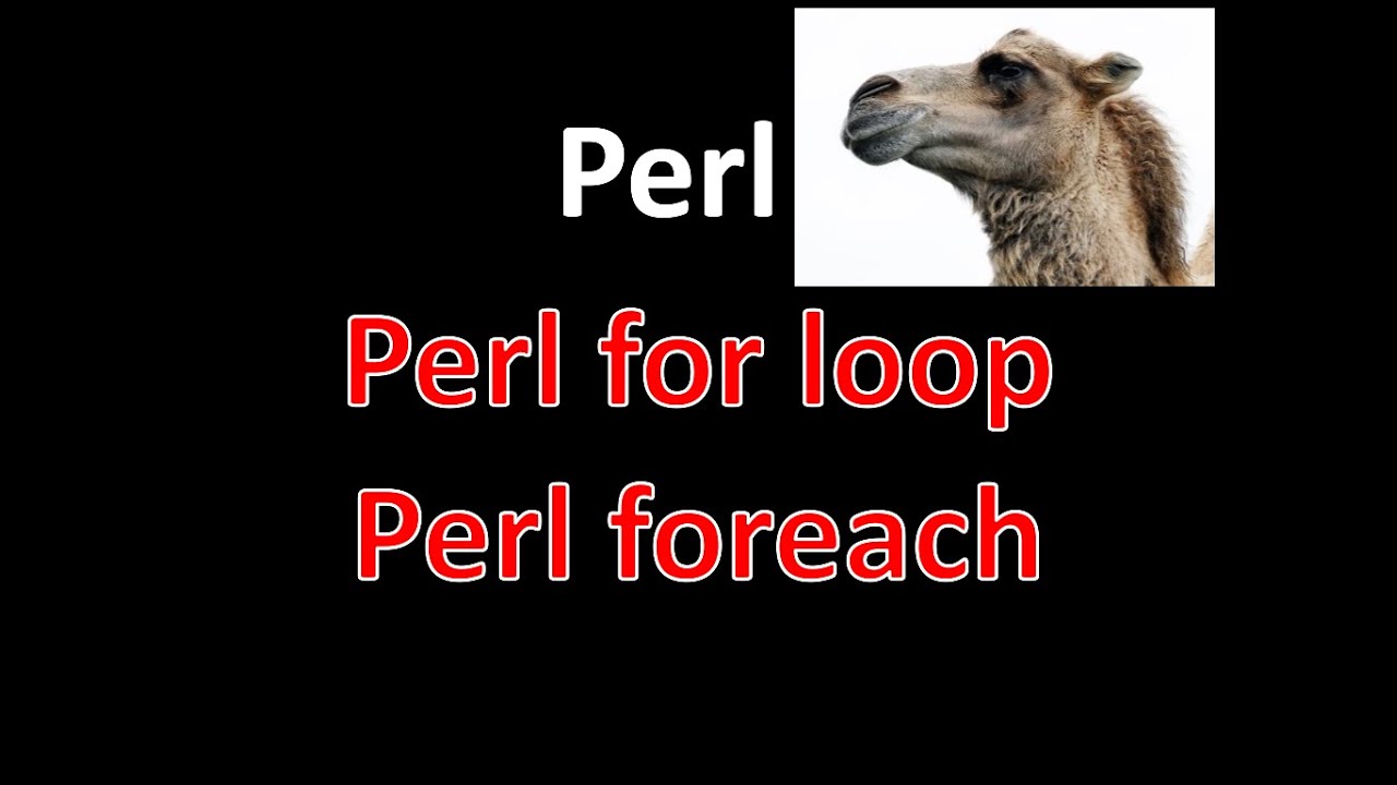 Perl For Loops | Perl ForEach Loop | Perl Scripting | Perl Programming - Perl Tutorial