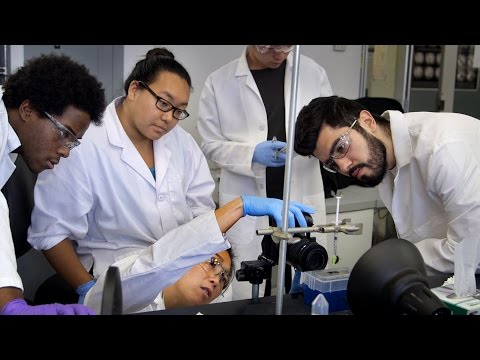 Discovering the Micro/Nano World