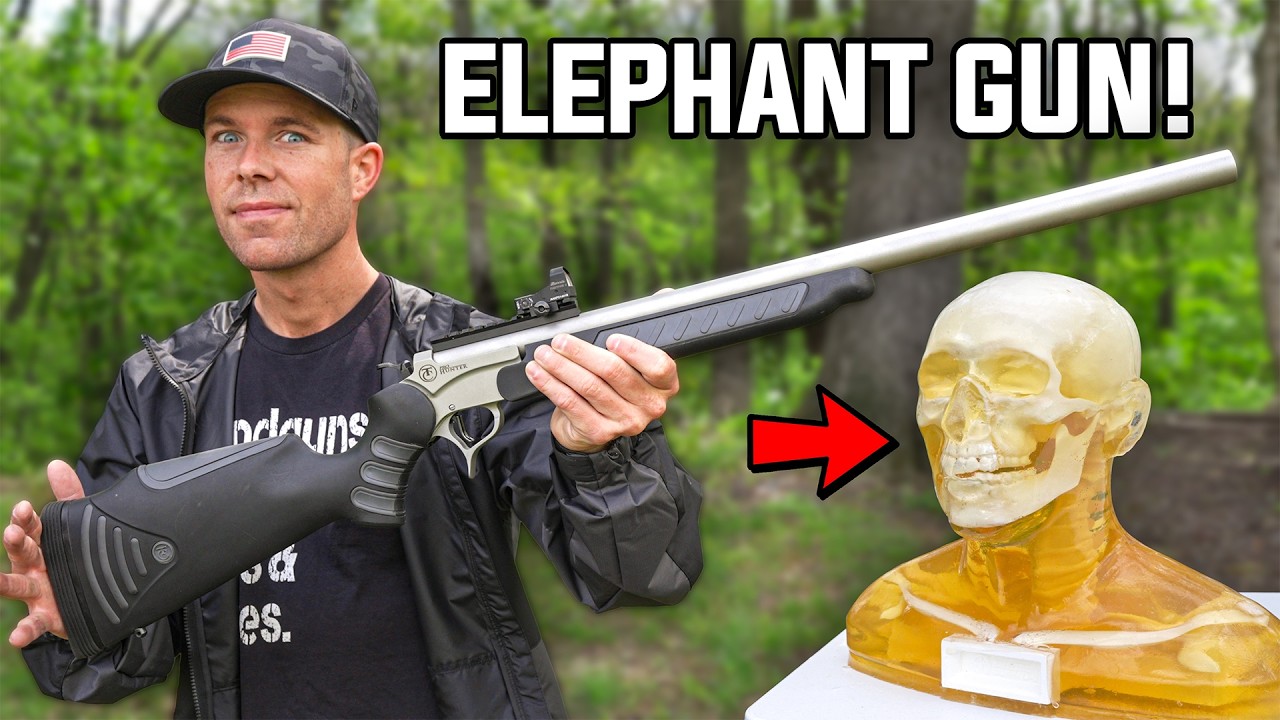 How LETHAL is an Elephant Gun?
