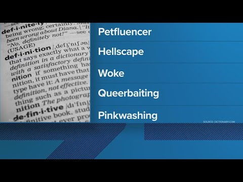 'Rage farming', 'petfluencer' among over 300 new words added to Dictionary.com