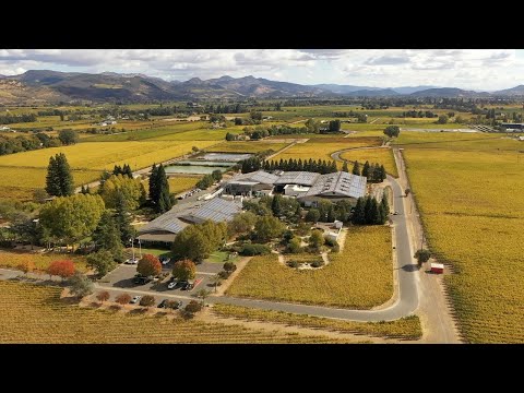 Tour Raymond Vineyards in St. Helena, Napa Valley