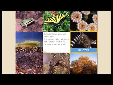 Arizona's Living State Symbols