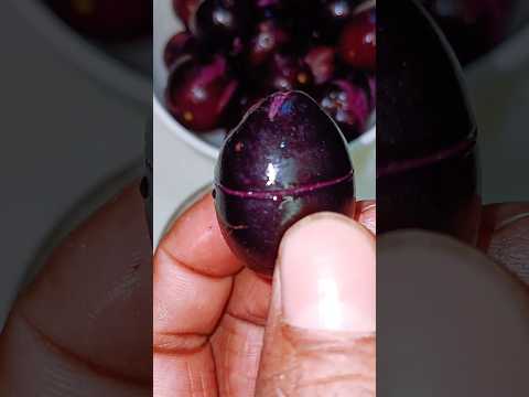 Jamun Fruit #healthy #shorts #jamuan #fruit