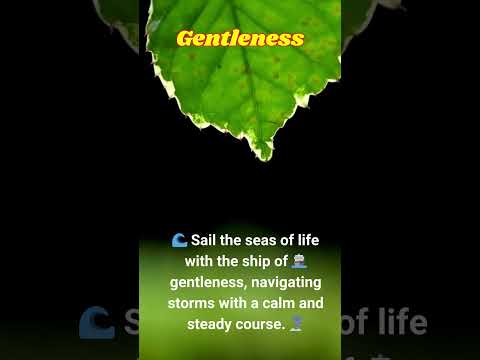 What Is Gentleness (16 of 50)