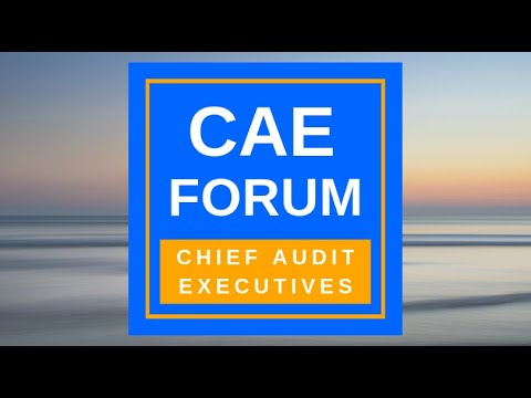 Most Chief Audit Executives (CAE) are NOT Trusted Advisors