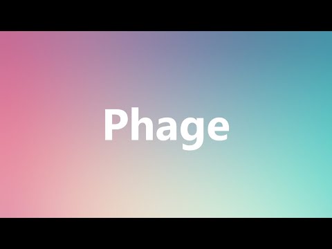 Phage - Medical Definition and Pronunciation