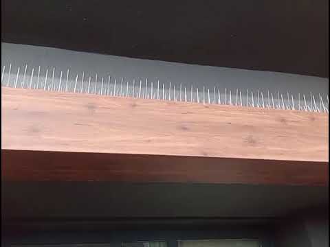 IndiaPro Supplies - Uv Stabilized Polycarbonate Bird Spike Manufacturer ...