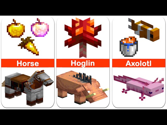 What do all animals eat in Minecraft?