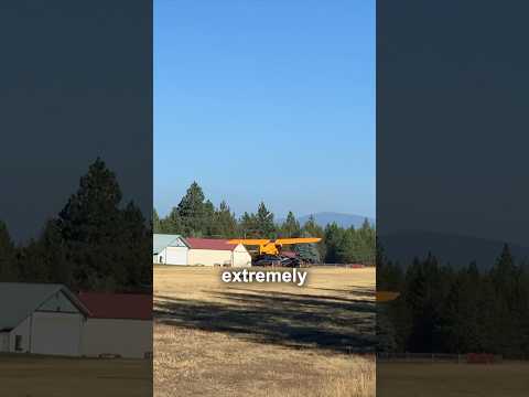 Fatal Mistake that could be avoided #pilot #plane #crash
