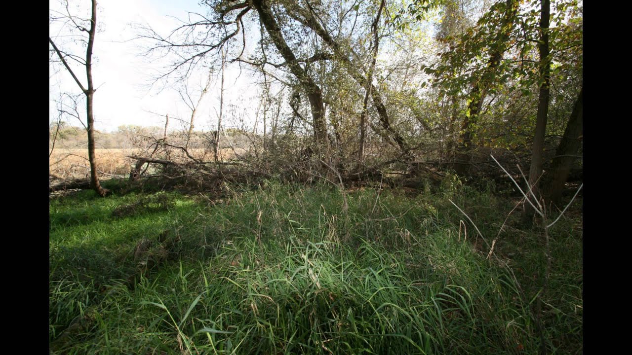 40 Acres in Scott County Minnesota