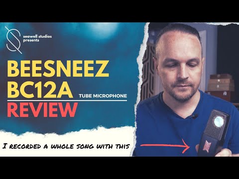 BeesNeez Microphones BC12A Tube 2023 - Matte Black | Reverb