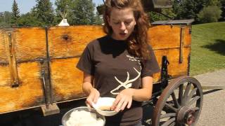 3 Best Landmarks in Red Deer, AB - Expert Recommendations