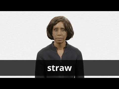 STRAW definition in American English | Collins English Dictionary