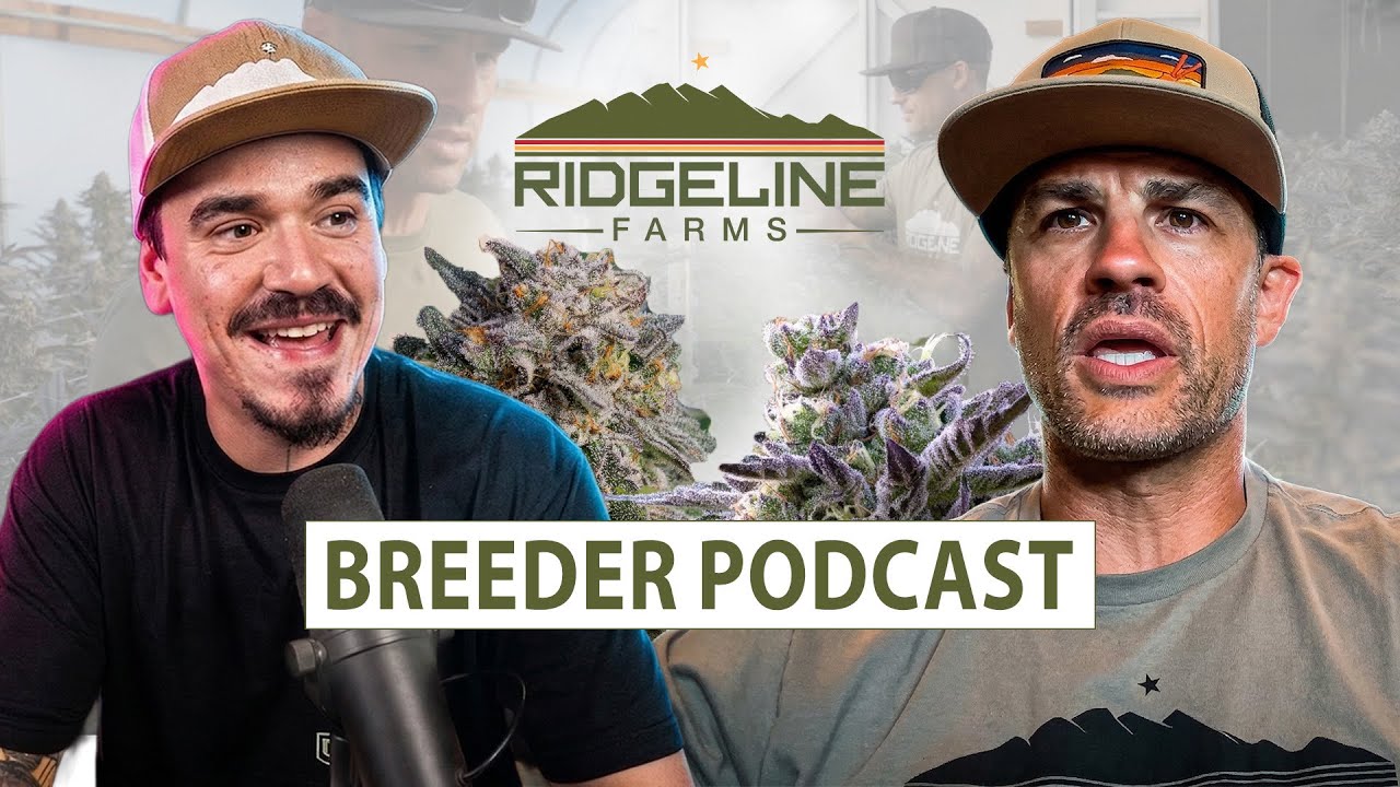 Ridgeline Farms is Back: Jason Gellman on Breeding, New Feminized Strains & the Future of Sun Grown