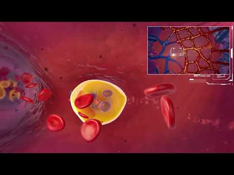 Contrast Media - Contrast Agent Latest Price, Manufacturers & Suppliers