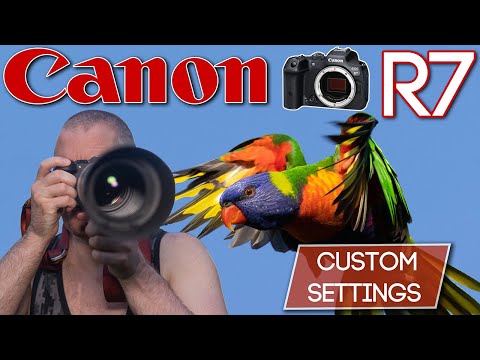 Canon R7: Customized AF setup (wildlife photography) (5137C002)