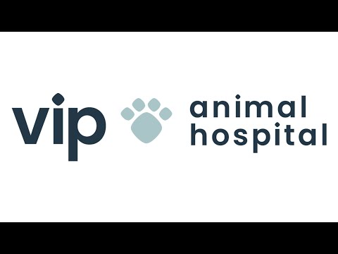 VIP Animal Hospital