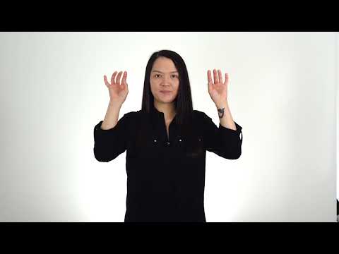 British Sign Language BSL Video Dictionary - twinkle