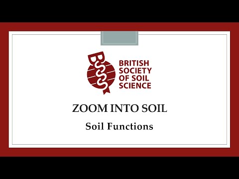 Zoom into Soil: Soil Functions
