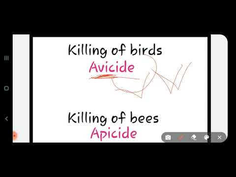 Words with suffix - CIDE - Learn 20 Vocabs in just 5 minutes