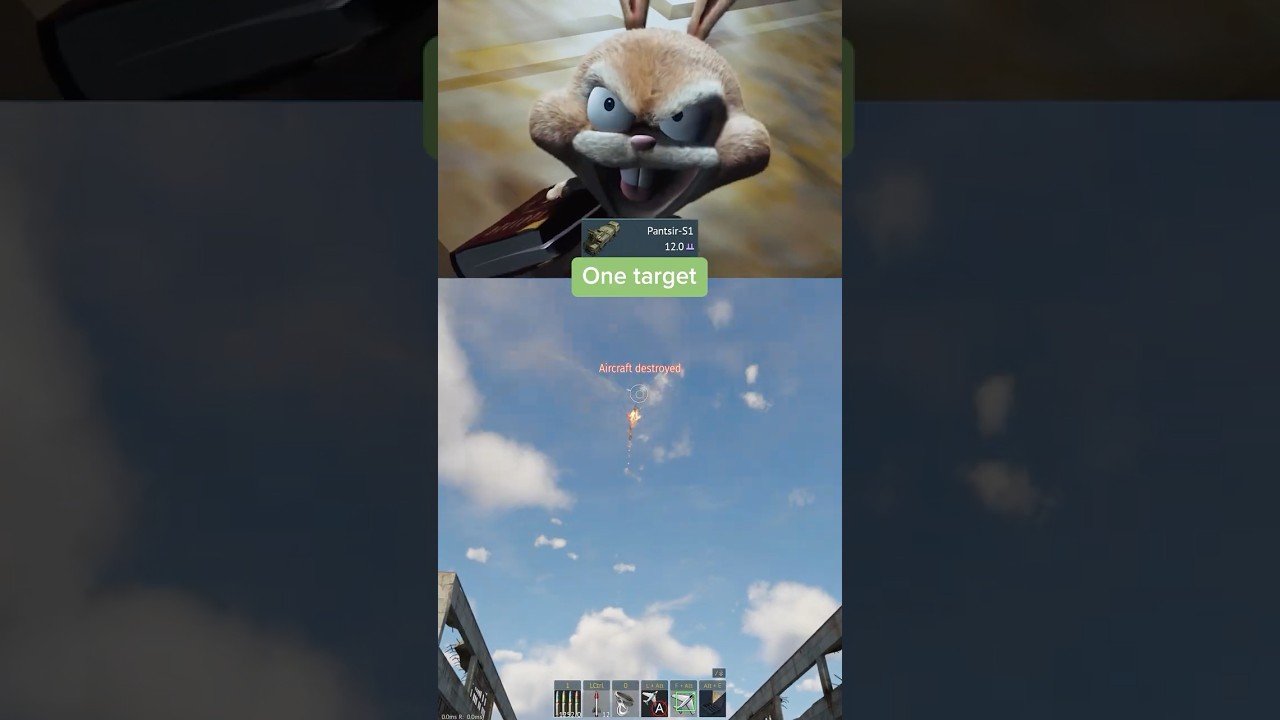 Life of an Anti Air player 🐰