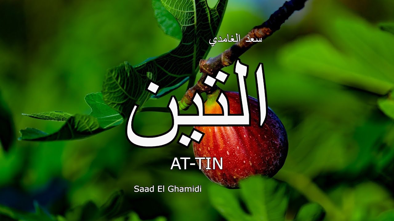 95 سورة التين سعد الغامدي Sourate AT TIN Saad El Ghamidi