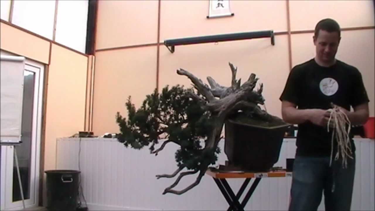 Ryan Neil Willowbog Demo Part 2