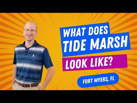 What does Tide Marsh in Fort Myers, Florida look like?