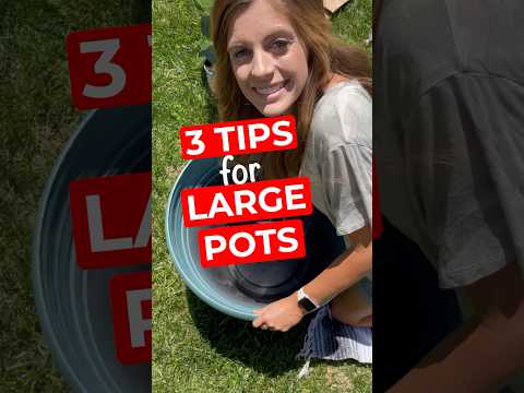 3 tips for planting large pots #greenthumb #planthack #pottedplants #plantlover #planttherapy