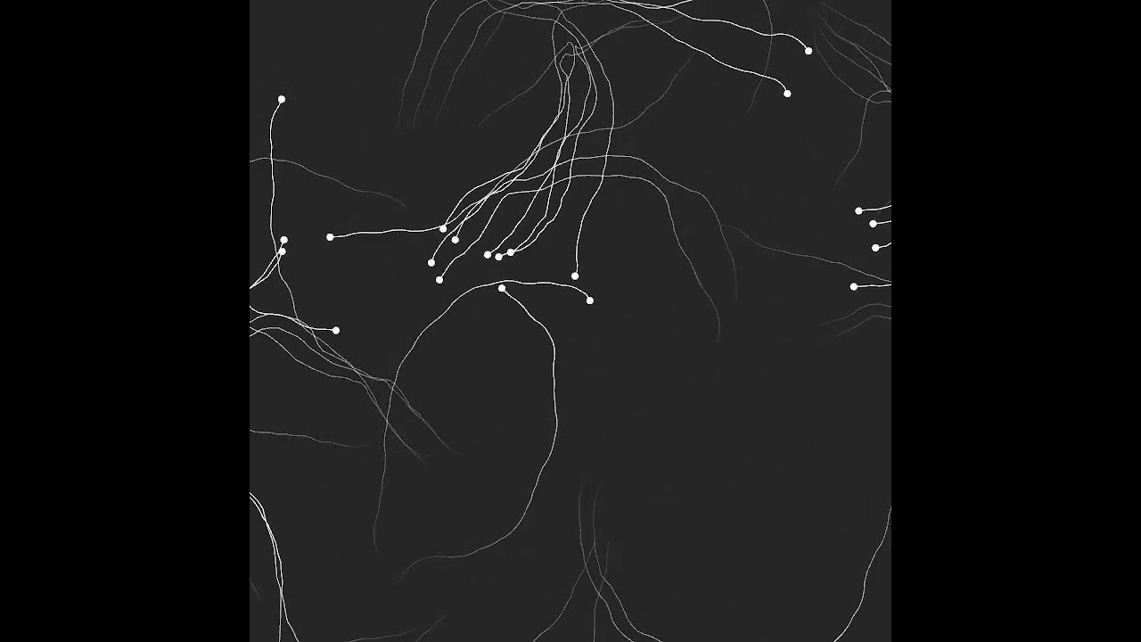 Movement history. #openframeworks #programming #creativecoding