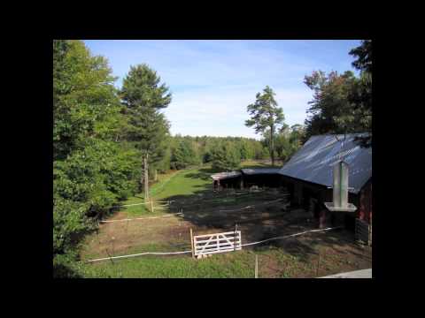 Changing Seasons at The Flying T | The Flying T Ranch Blog