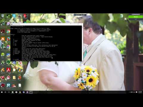 How To Use Ping In Windows or Linux