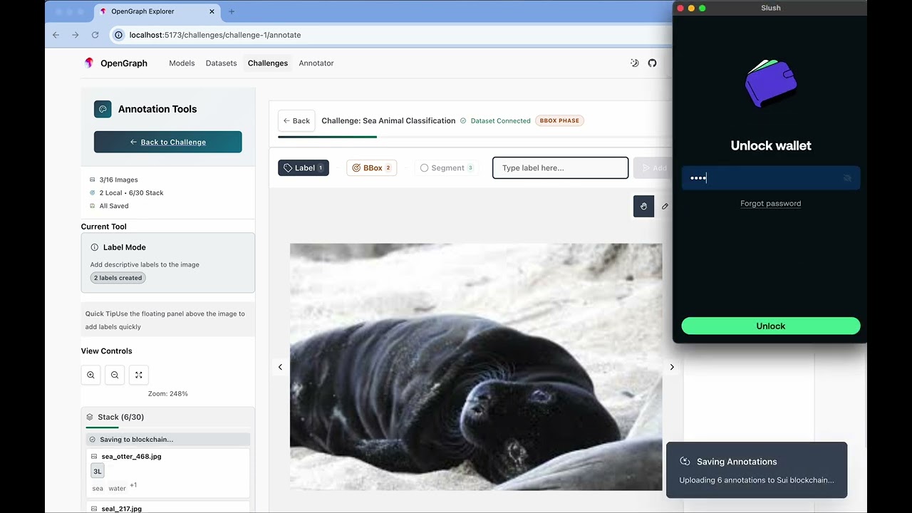 OpenGraph Video Guide - label annotations
