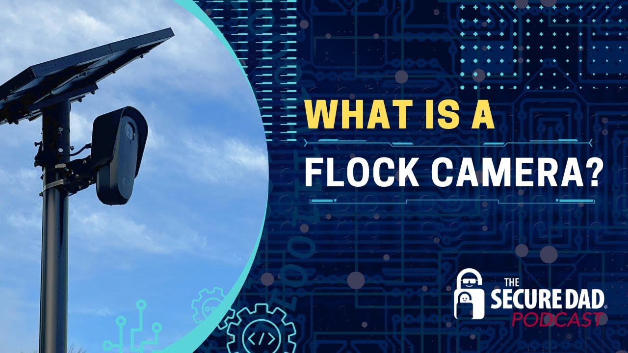 What is a Flock Camera?