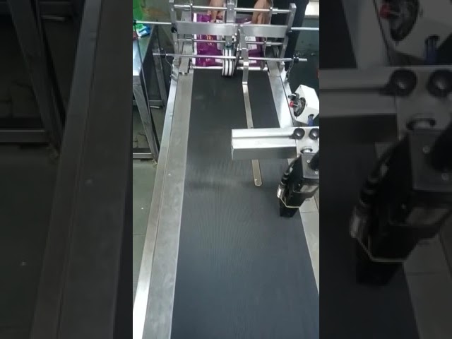 Batch Coding Machine - Automatic Friction Feeder Machine Manufacturer from Ahmedabad