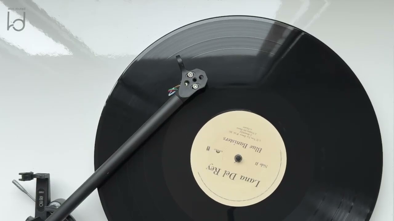 Lana Del Rey - Dealer (Vinyl Video)