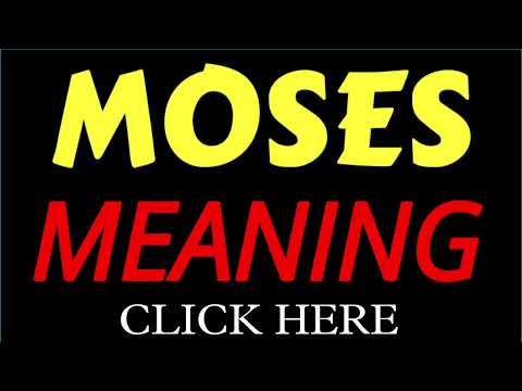 What does the name MOSES mean | MOSES meaning in english | Meaning of name MOSES