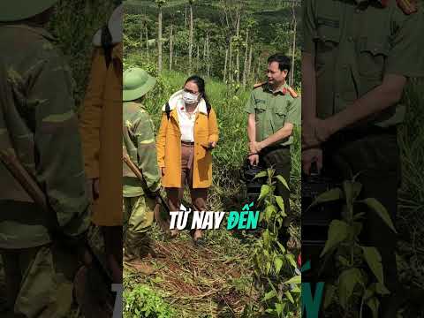Đắk Lắk siết chặt quản lý chấm dứt tình trạn lấn chiếm rừng