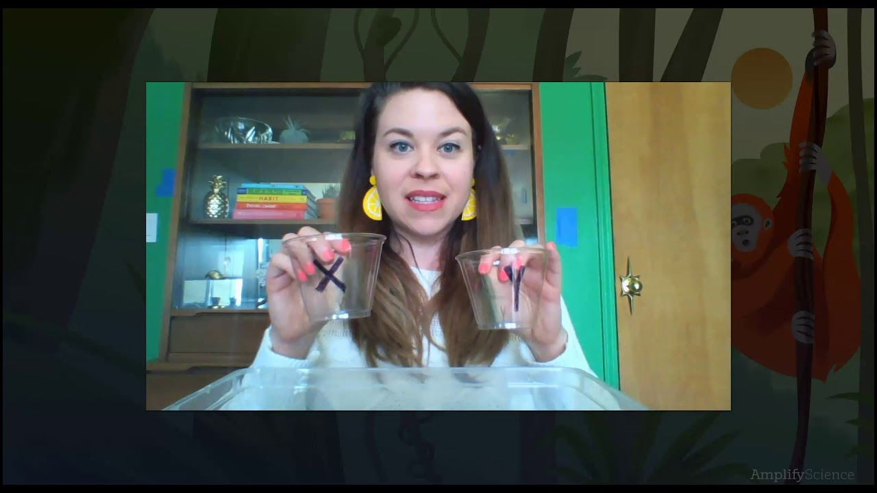 Science, Grade 3, 5/19, Weather and Climate