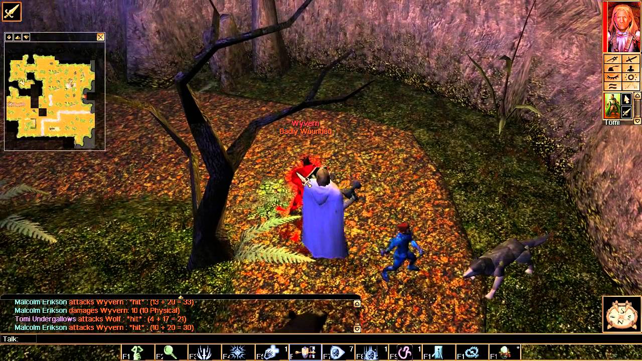 Let's Play Neverwinter Nights #97 The Neverwinter wood