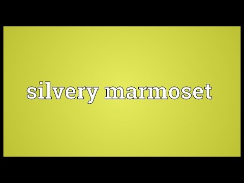 Silvery marmoset Meaning
