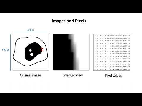 Image Analysis - Difference between mean pixel intensity and integrated pixel density