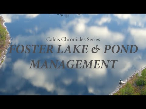 The Calcis Chronicles - Foster Lake & Pond Management