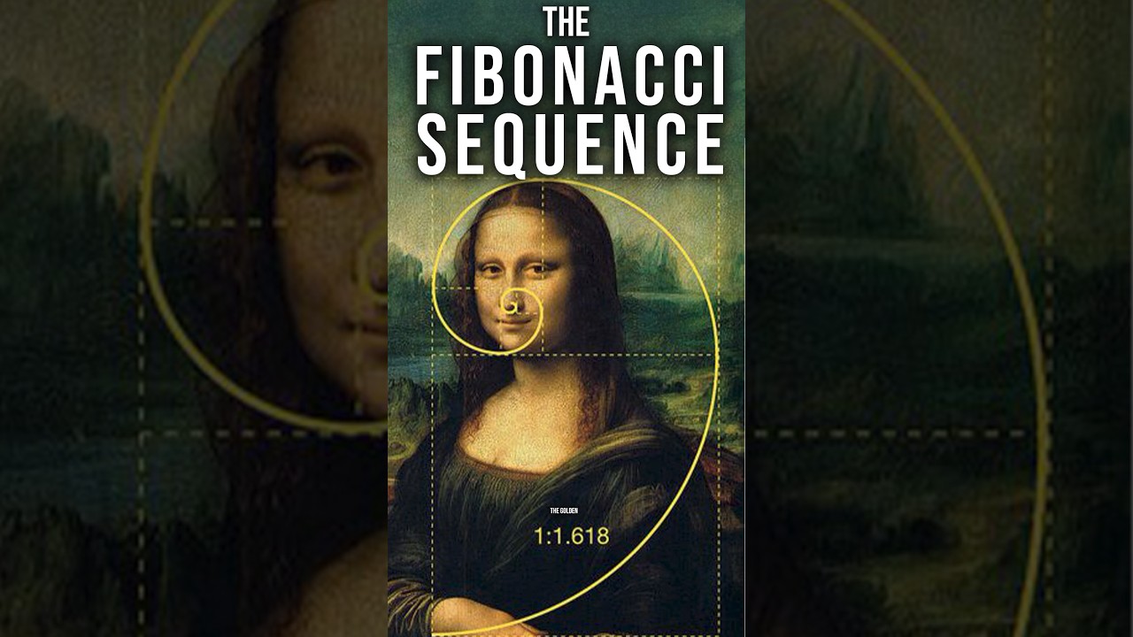 what is fibonacci sequence? 🐚 🤔 #fibonacci