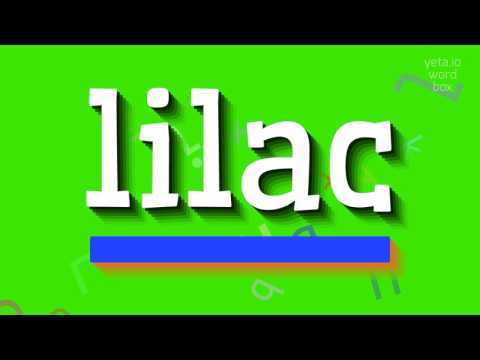 How to say "lilac"! (High Quality Voices)